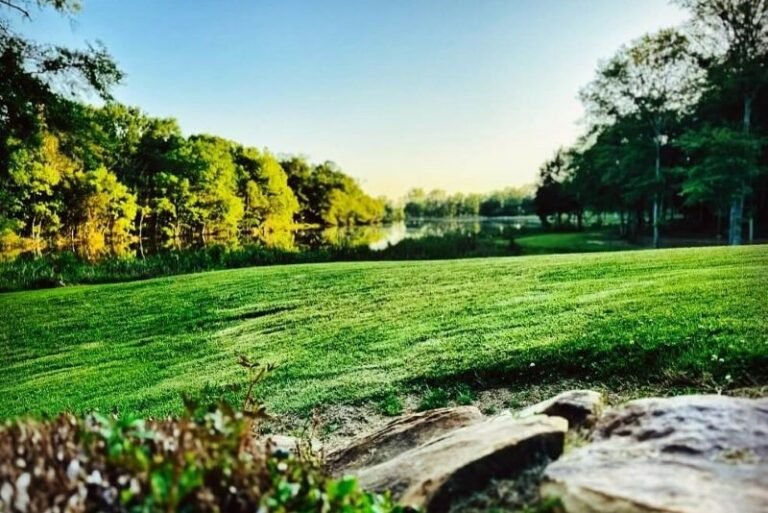 Kick Back Ranch Photo Gallery | Scenic Views & Event Highlights