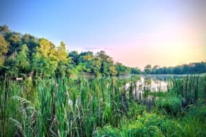 Camping Gallery of Kick Back Ranch & Event Center in Montgomery, Alabama