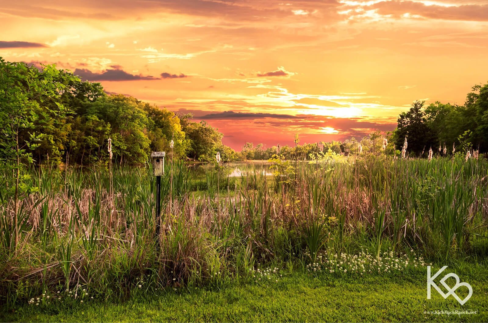 Kick Back Ranch Stories and Events Blog