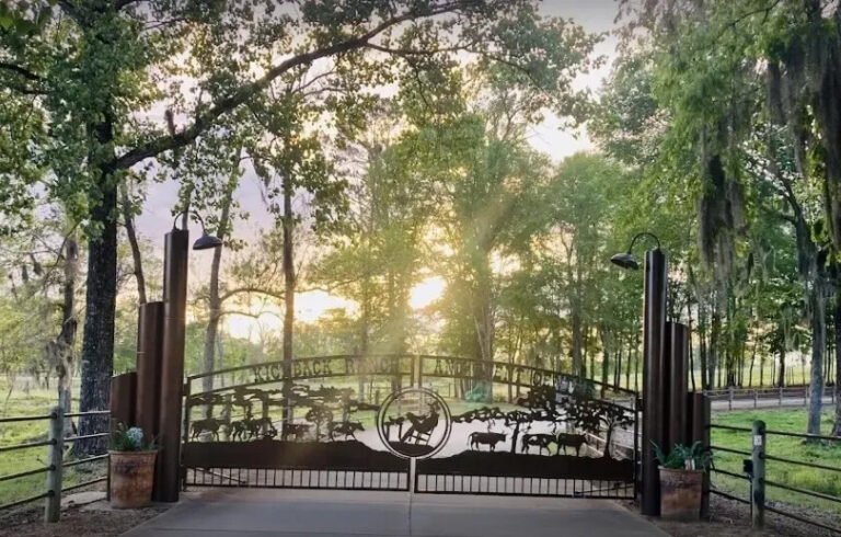 About Kick Back Ranch | Campgrounds, Cabins & Events Near AL