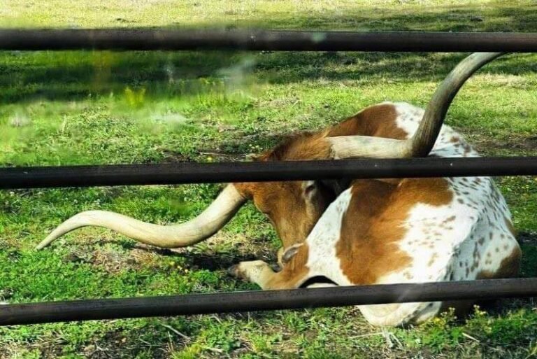 Kick Back Ranch Photo Gallery | Scenic Views & Event Highlights