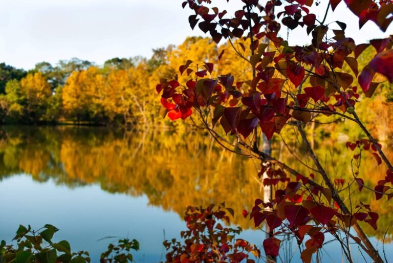 Kick Back Ranch & Event Center: Premier RV Parks Near Montgomery, AL ...